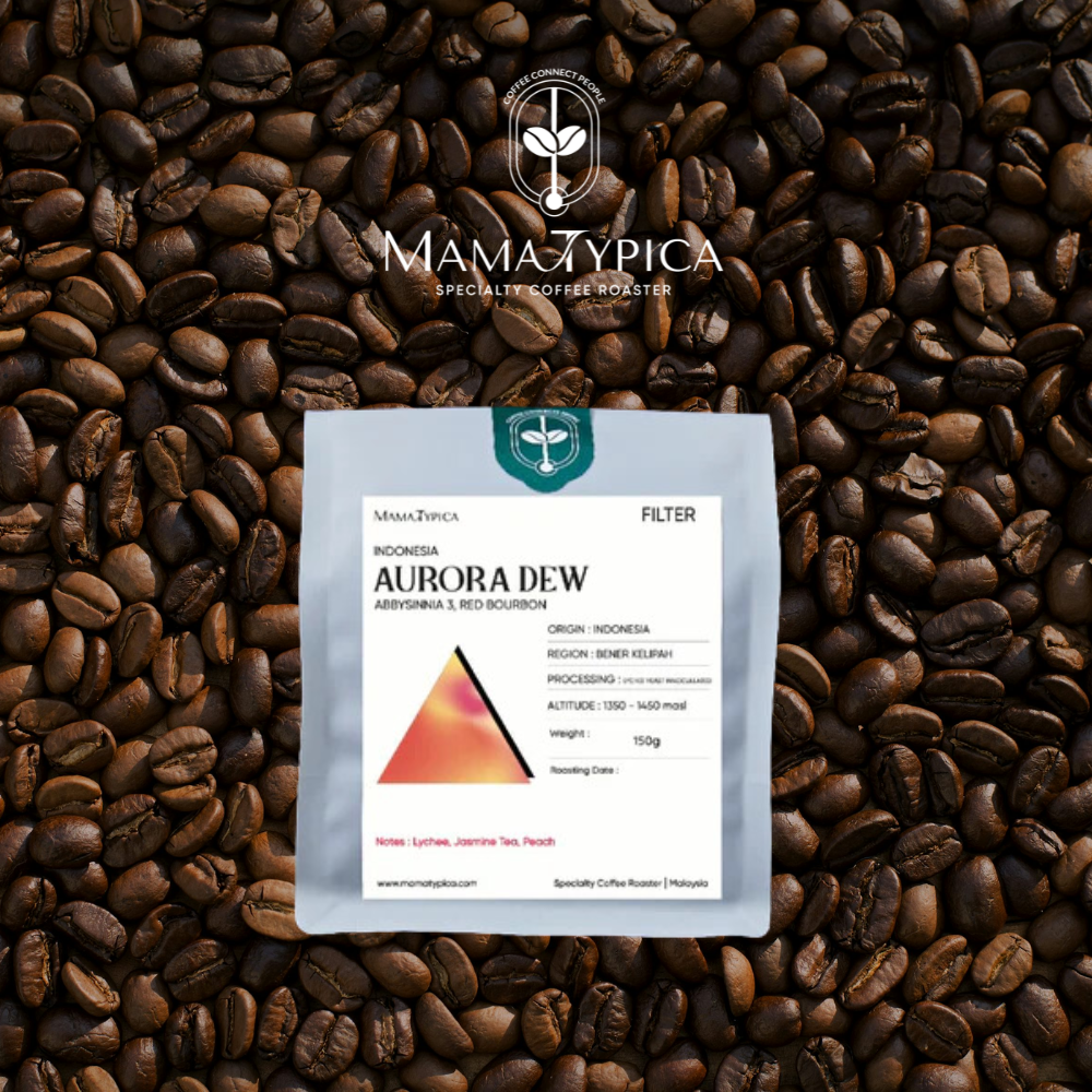 AURORA DEW BURGUNDY – Mama Typica Specialty Coffee Roaster