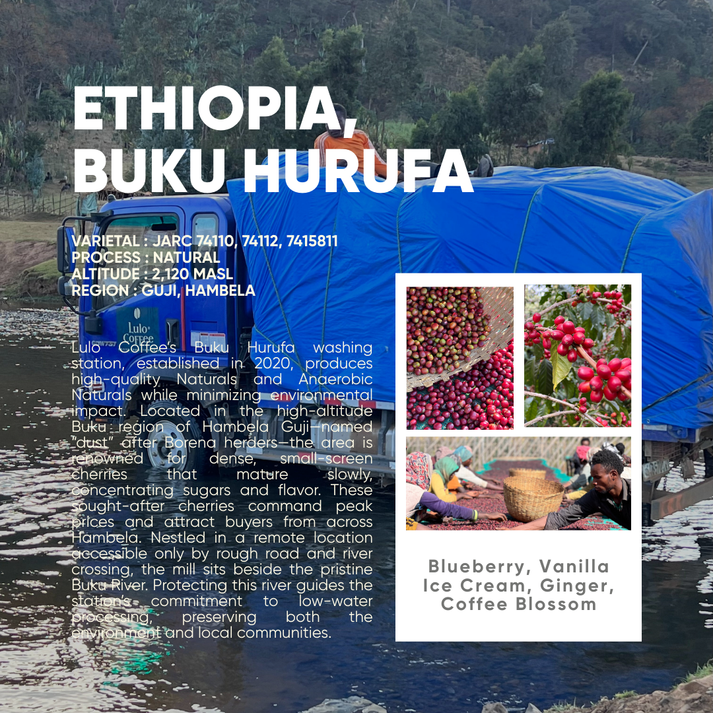 ETHIOPIA BUKU HURUFA – Mama Typica Specialty Coffee Roaster