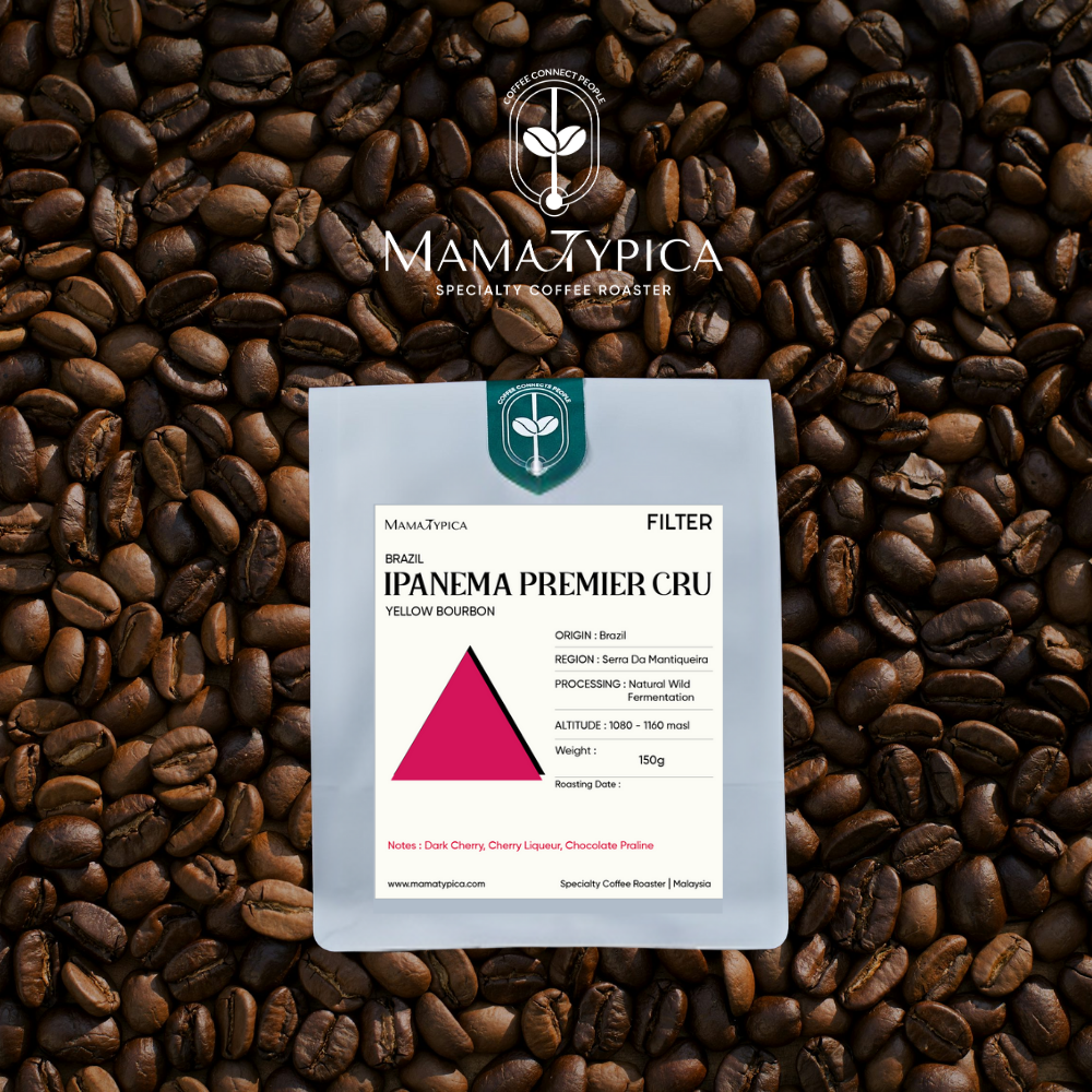 Brazil Ipanema Premier Cru – Mama Typica Specialty Coffee Roaster